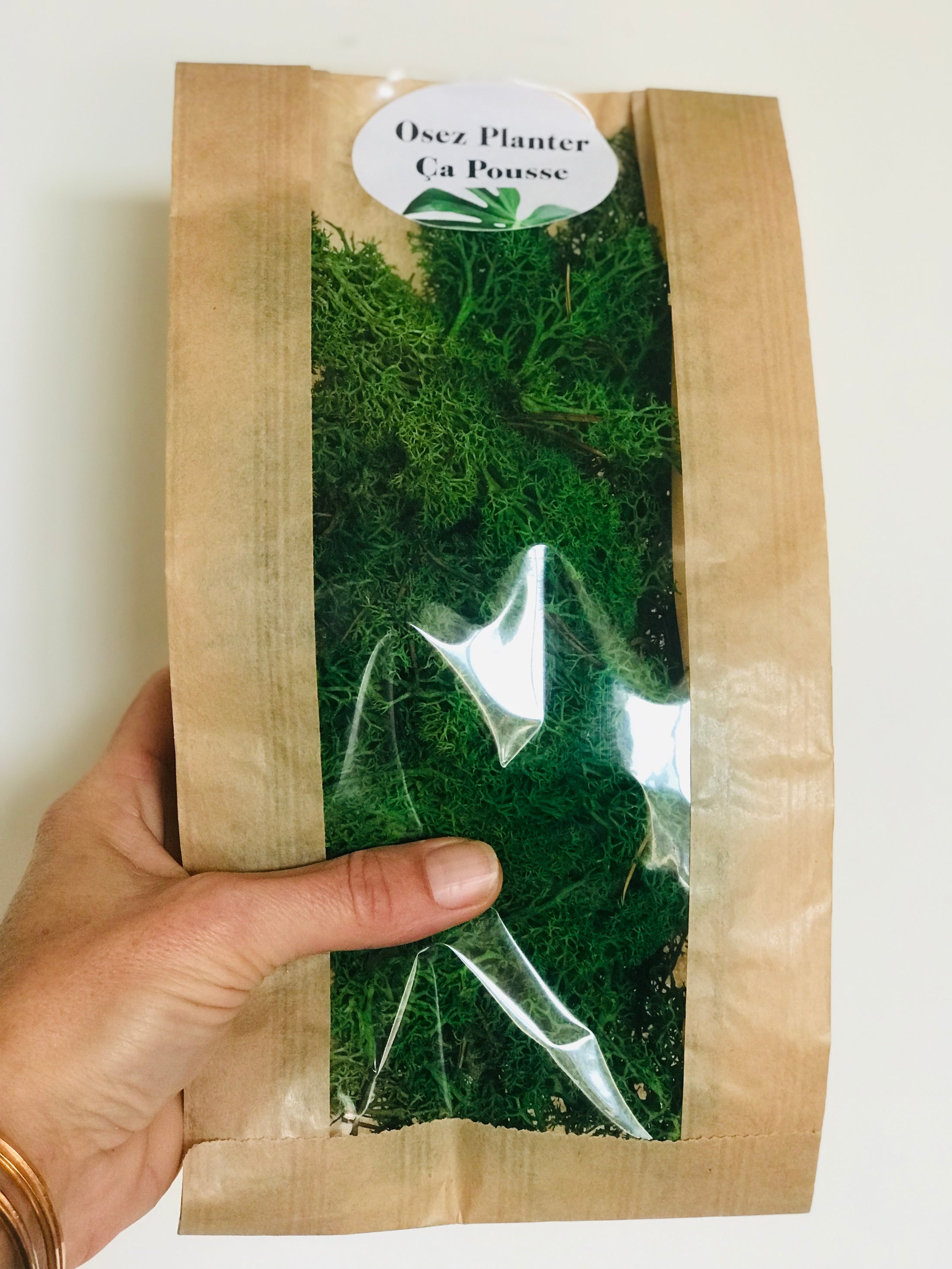 Mousse Stabilisée en Vrac Nature Green | Lichens Naturels Loisirs ...